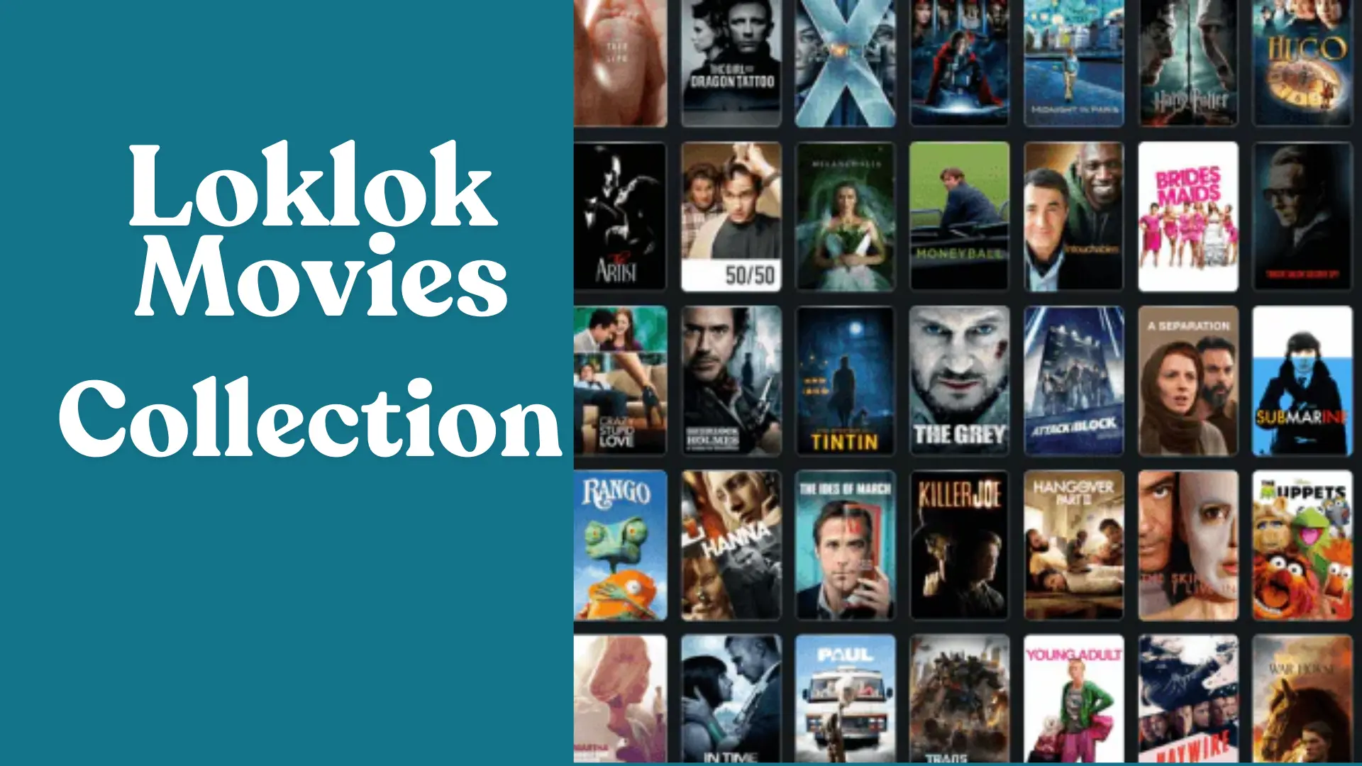 Loklok Movies Collection Guide (Latest 2025)